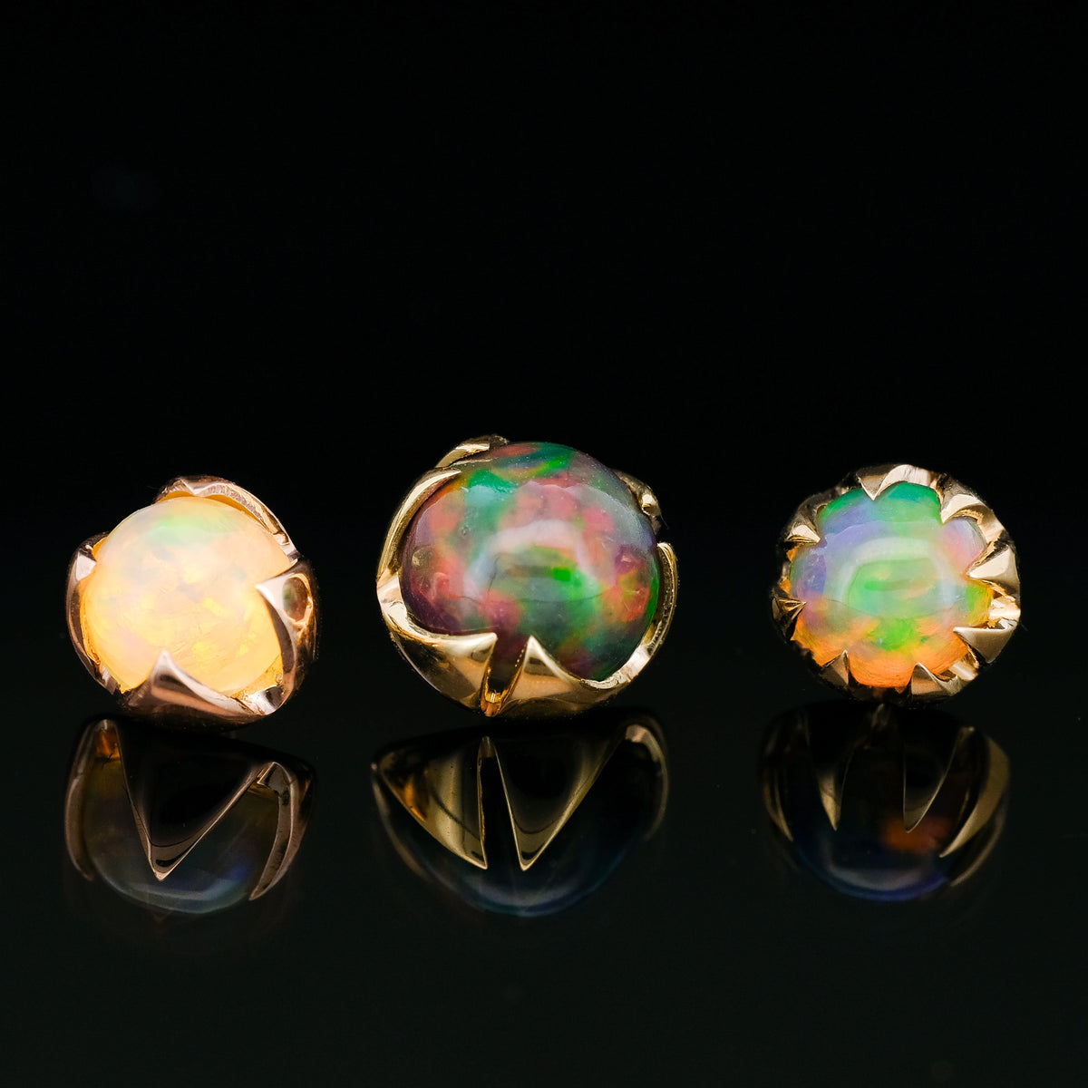 Large Multicolor Dark Opal in Yellow Gold - 14ga Threaded end – Dendrite